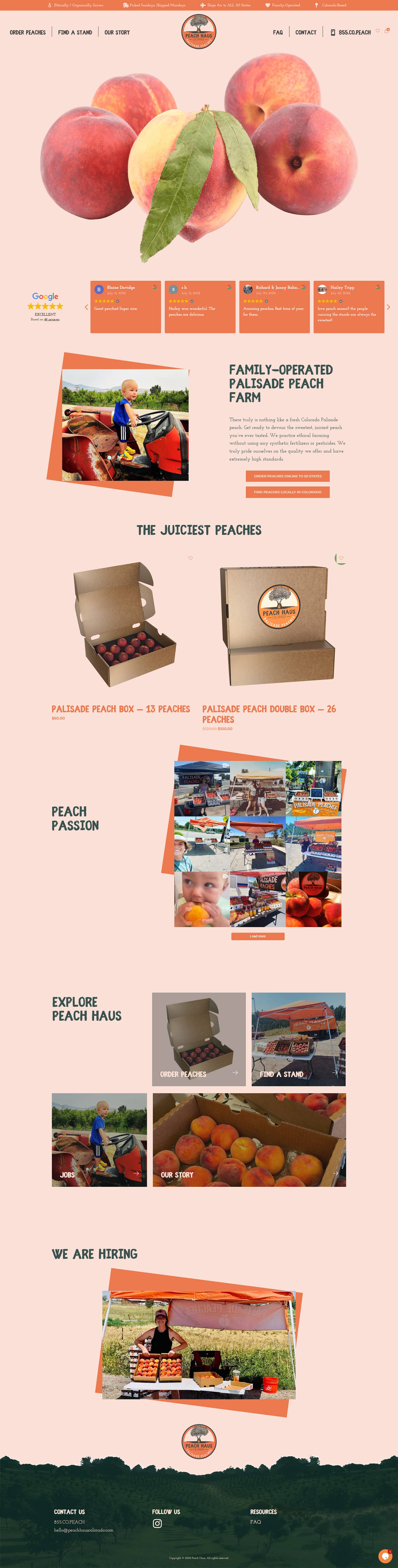 Peach Haus - 5280 Design Co.